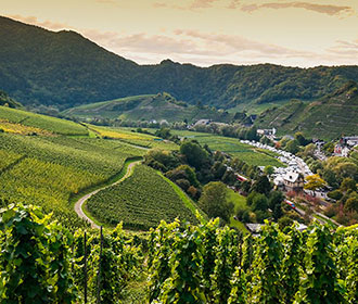 JG Explorer Coach Tours to Europe | Just Go! Holidays